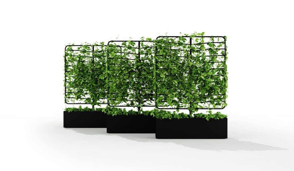Botanical Planter Screens: Natural Beauty With A Practical Purpose ...