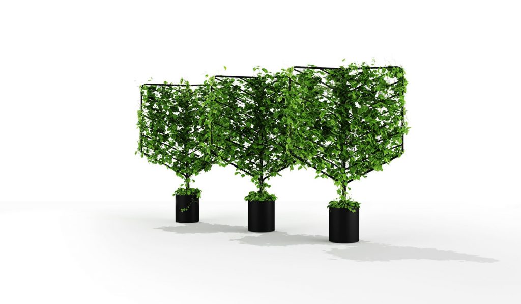 Botanical Planter Screens: Natural Beauty With A Practical Purpose ...