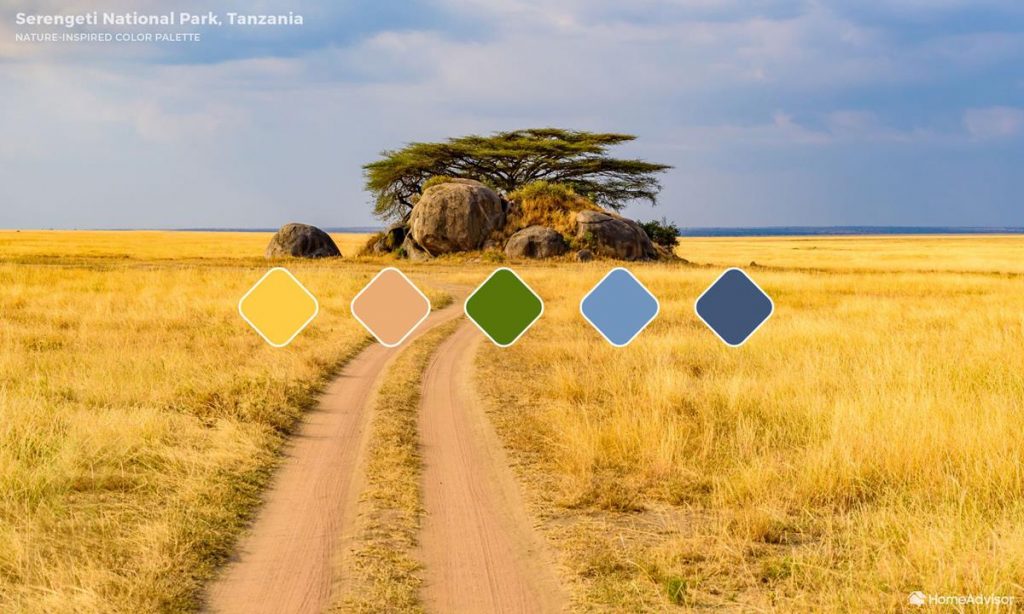 Living Room Color Palettes Inspired By Natural Landscapes – Adorable ...