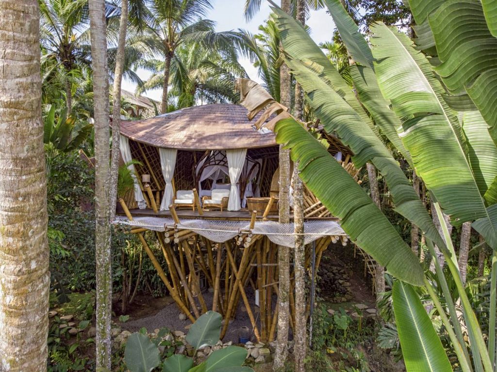 A Unique And Organic Treehouse In Bali – Adorable HomeAdorable Home