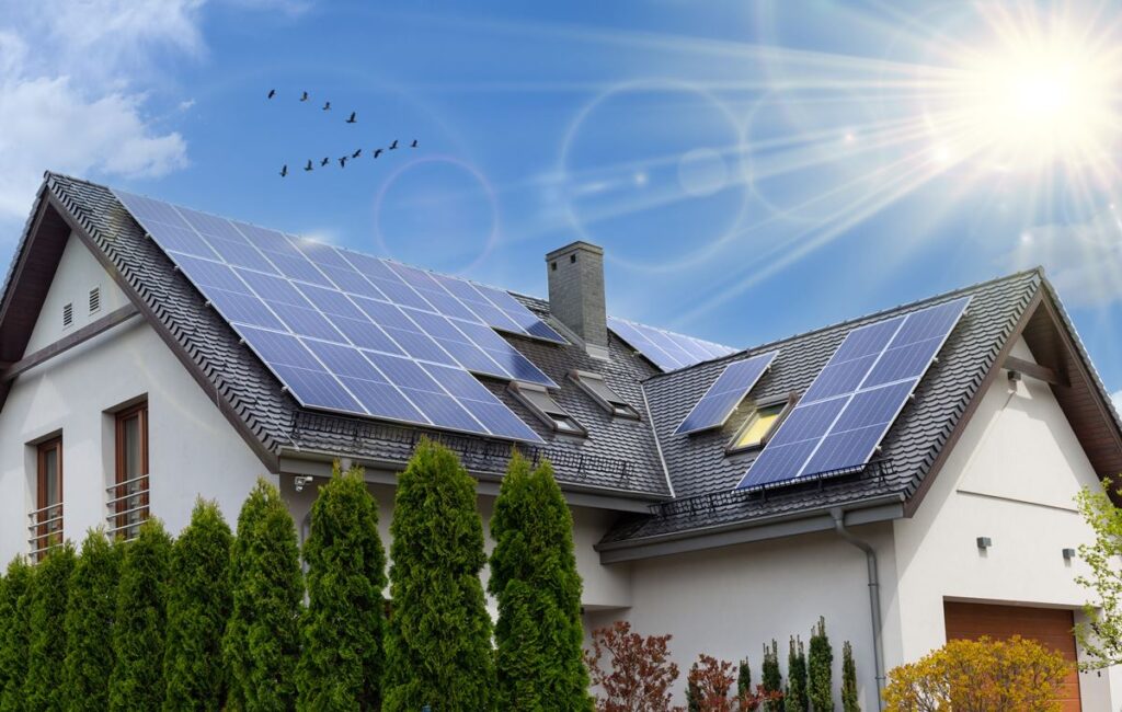 A Homeowner’s Guide To Choosing The Right Solar Battery – Adorable ...