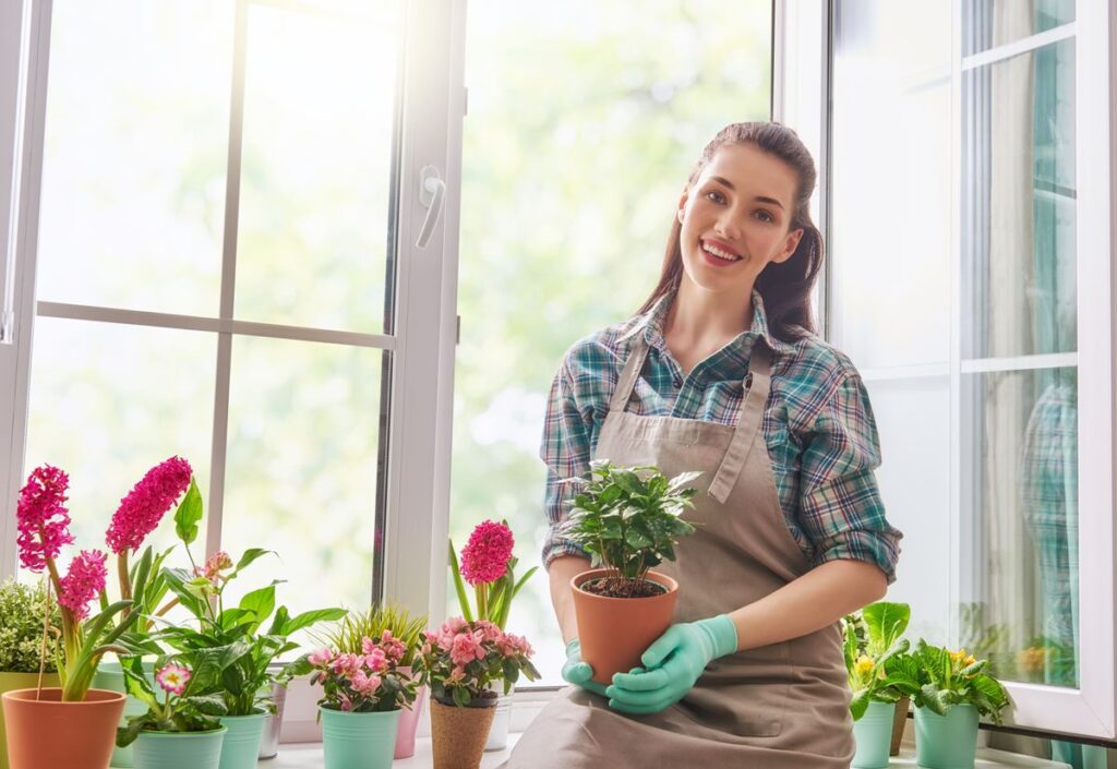 How To Transform Your Windows With Plants – Adorable HomeAdorable Home